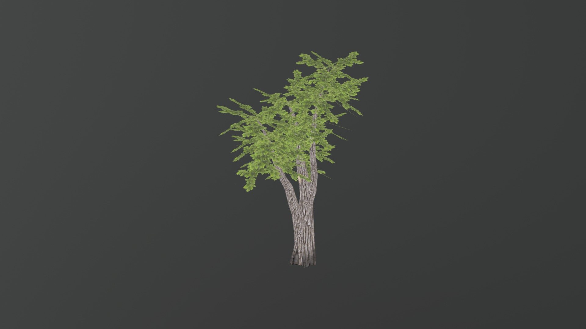 Prop_Tree - 3D model by Hugelier Matthias (@Hugelier_Matthias) [84fa7e7 ...