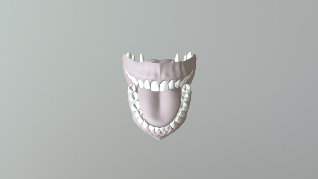 Realistic Jaw - 3D model by artxzen [8504ffd] - Sketchfab