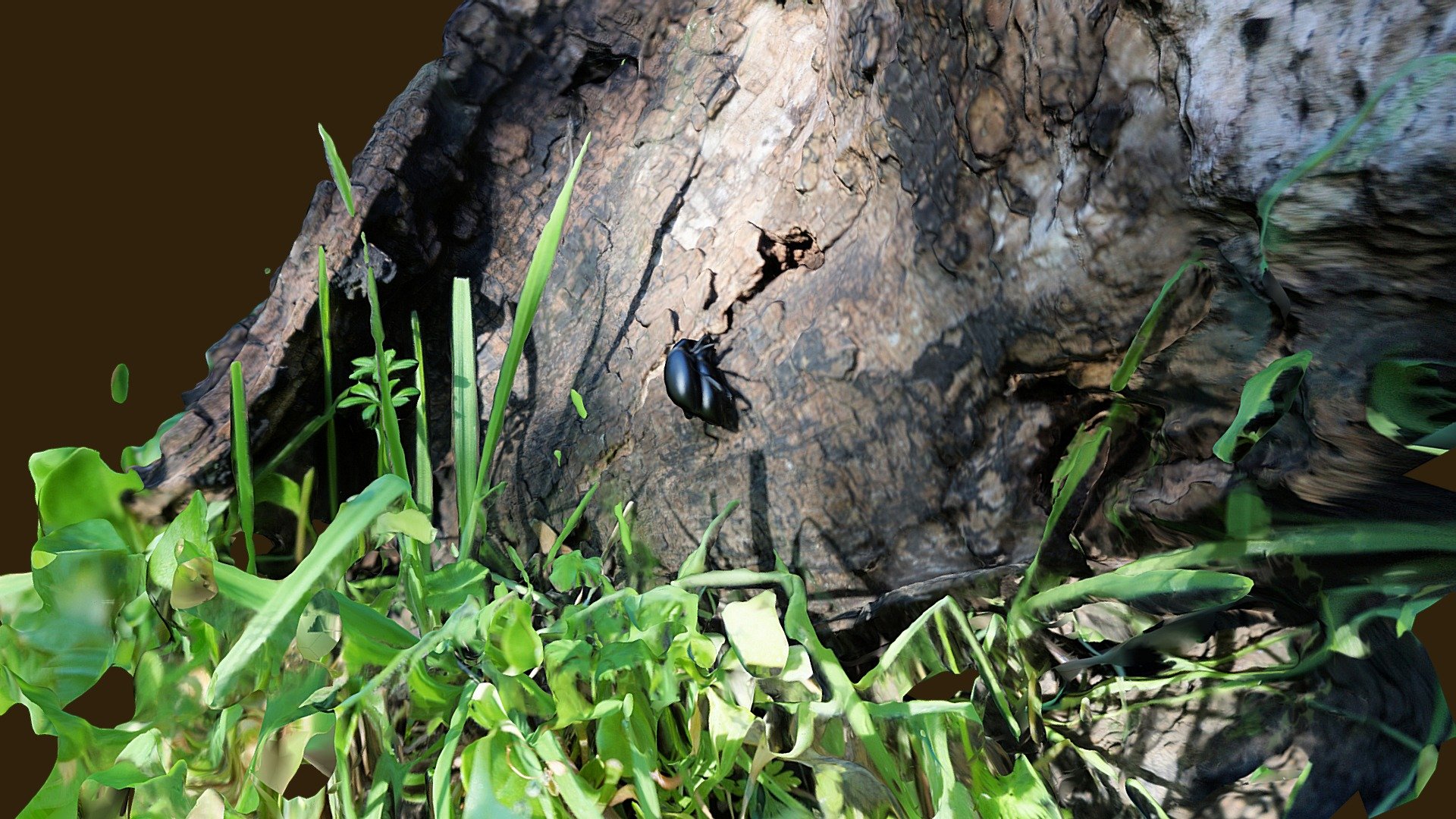 Beetles in Spring - Download Free 3D model by John Toeppen (@toeppen ...