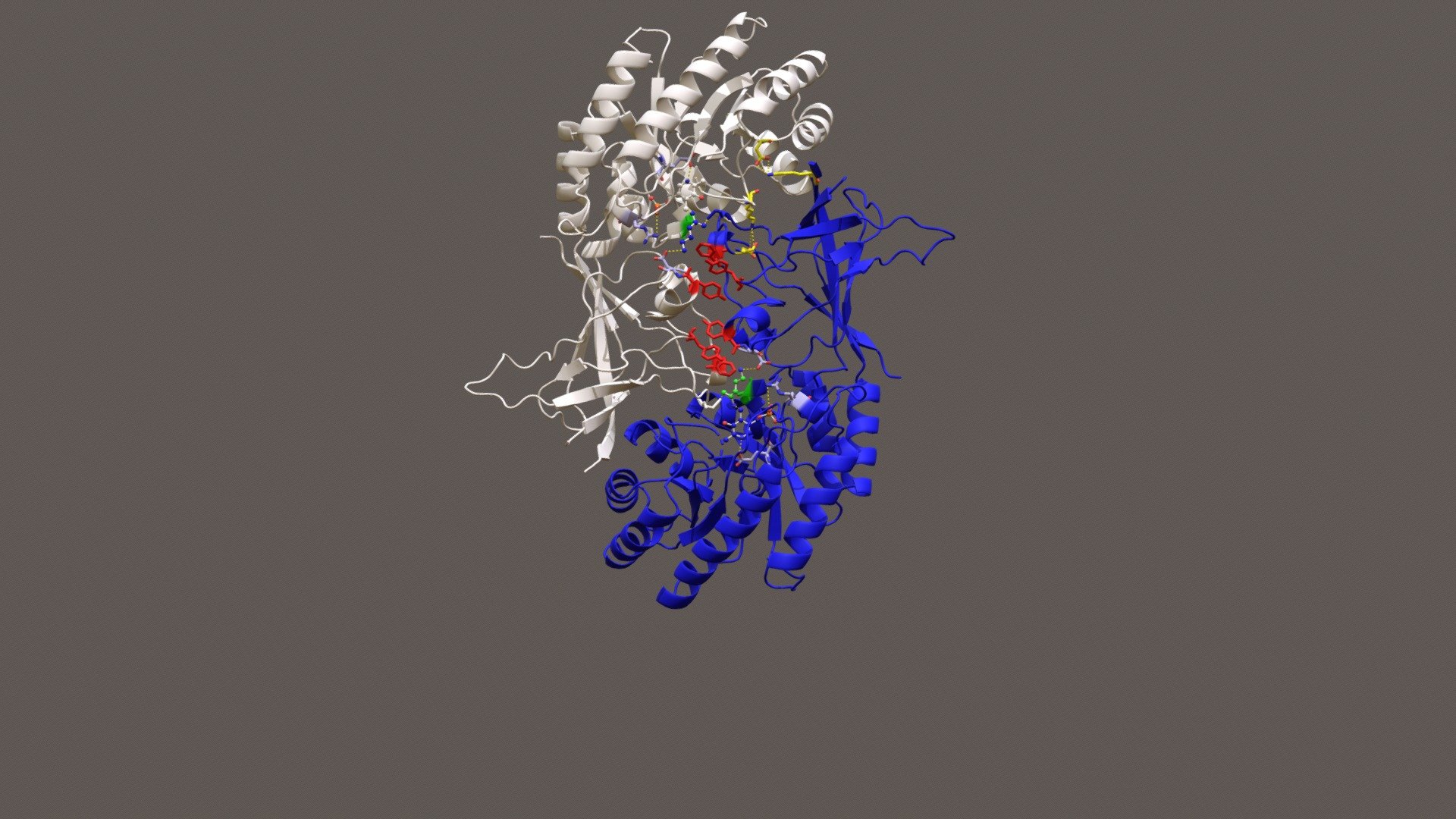 Ornithine Decarboxylase and DFMO - 3D model by njon2673 [8508f5e ...