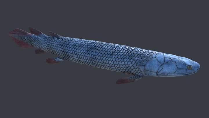 Gyroptychius 3D models - Sketchfab