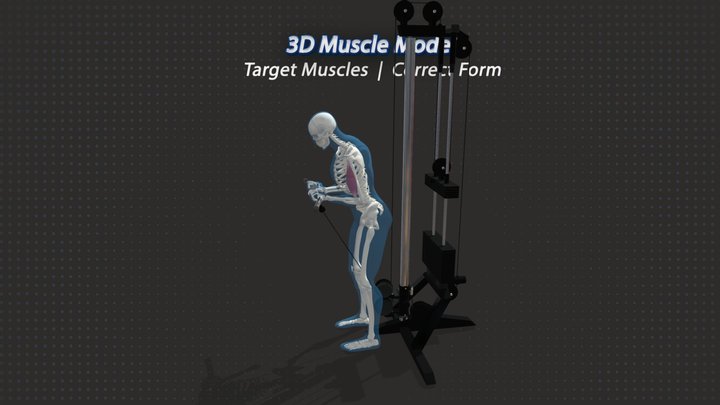 Curls 3D models - Sketchfab