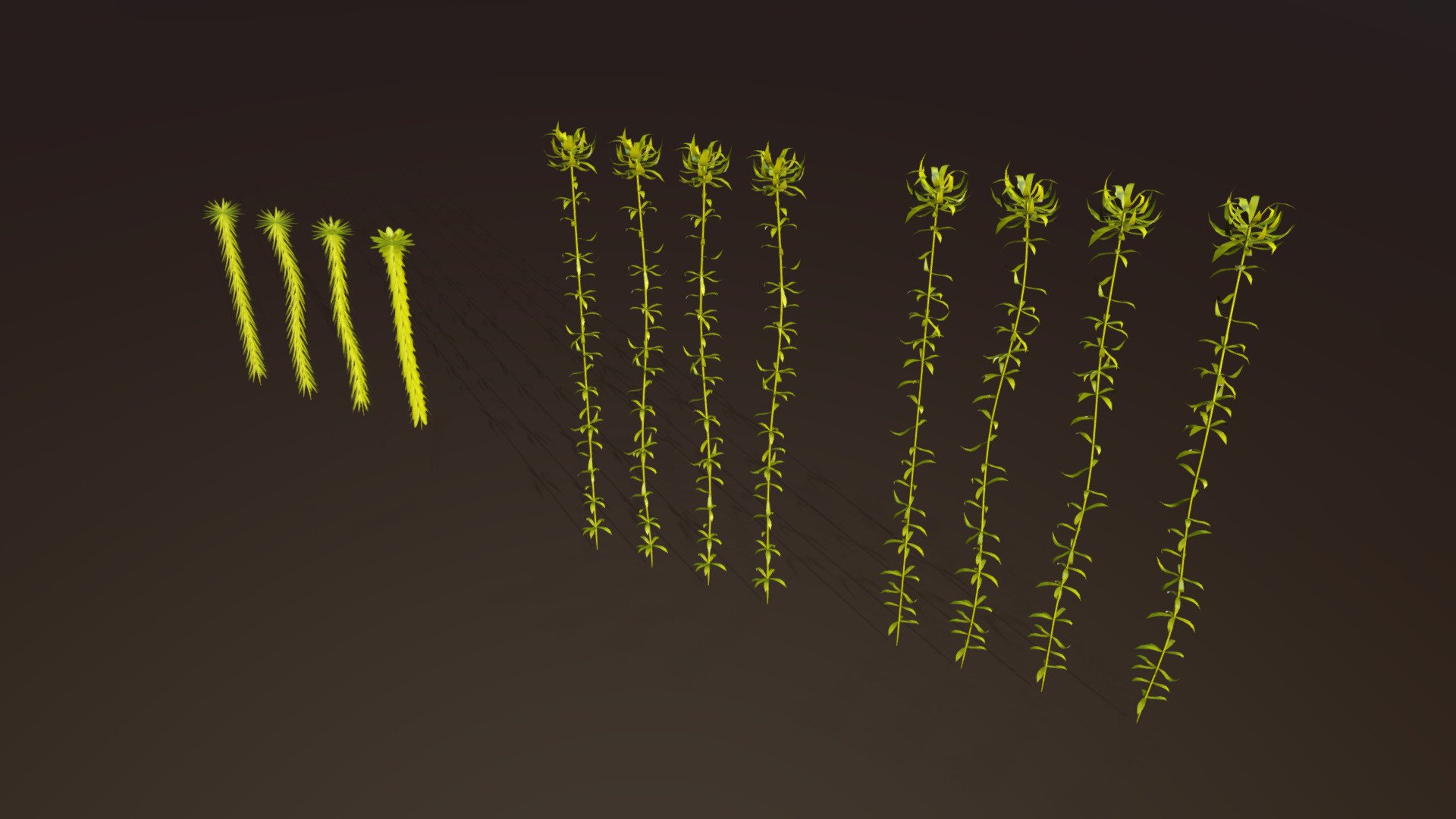 Kelp / Seaweed - Prop Collection - Buy Royalty Free 3D model by Jan ...