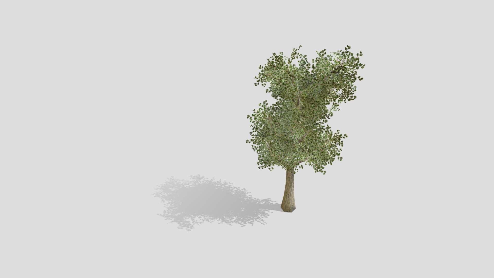 Foliage (Tree) - Download Free 3D model by KeeganVulgamott [851e6fc ...
