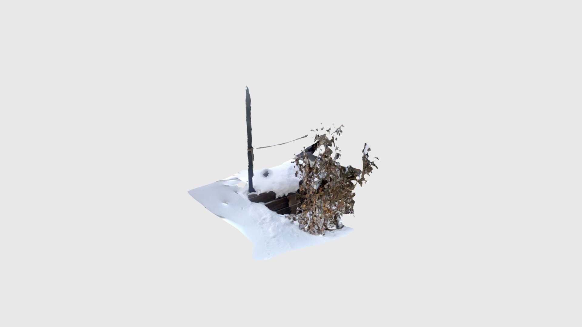 Winter rose bush - Download Free 3D model by Yerkezhan [851f336 ...