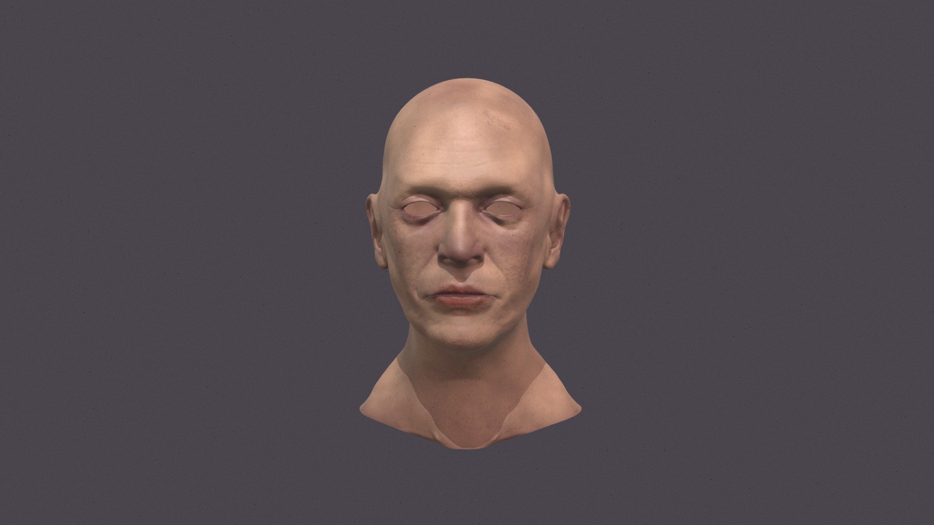 steve head - 3D model by sam powell (@samanthaa) [8529fde] - Sketchfab