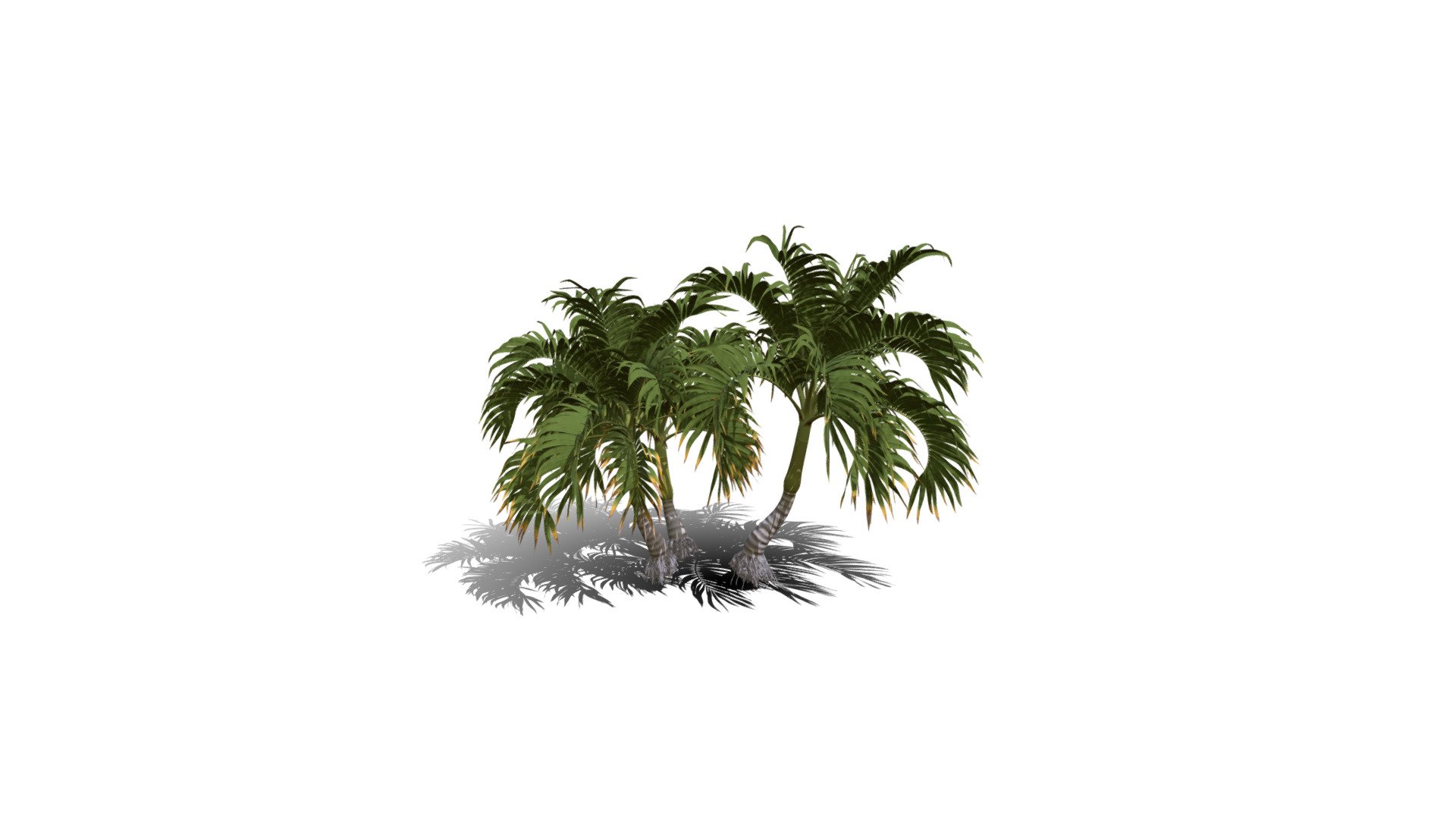Realistic HD Christmas palm (26/35) - Download Free 3D model by ...