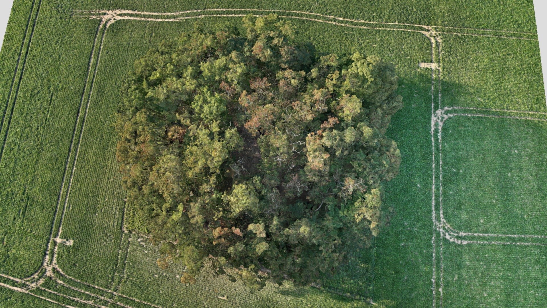 Tumulus d'Hottomont - 3D model by Nowalith Building Solutions ...