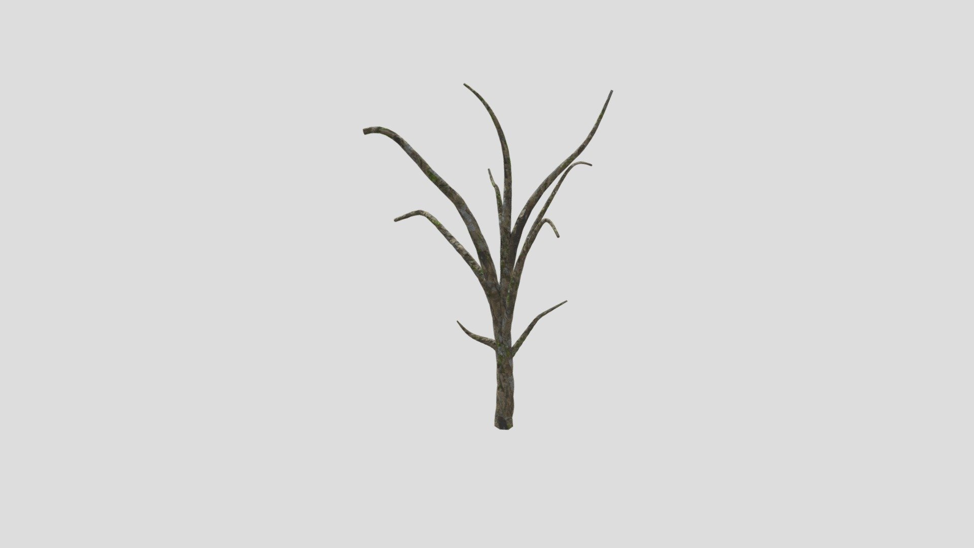 Tree3 - 3D model by dilaneley [85361c8] - Sketchfab