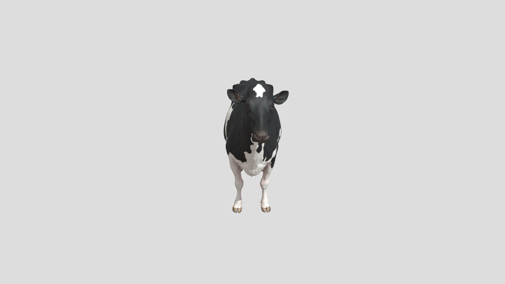 COW SF 020221 - 3D model by neighbor_animation [8542600] - Sketchfab