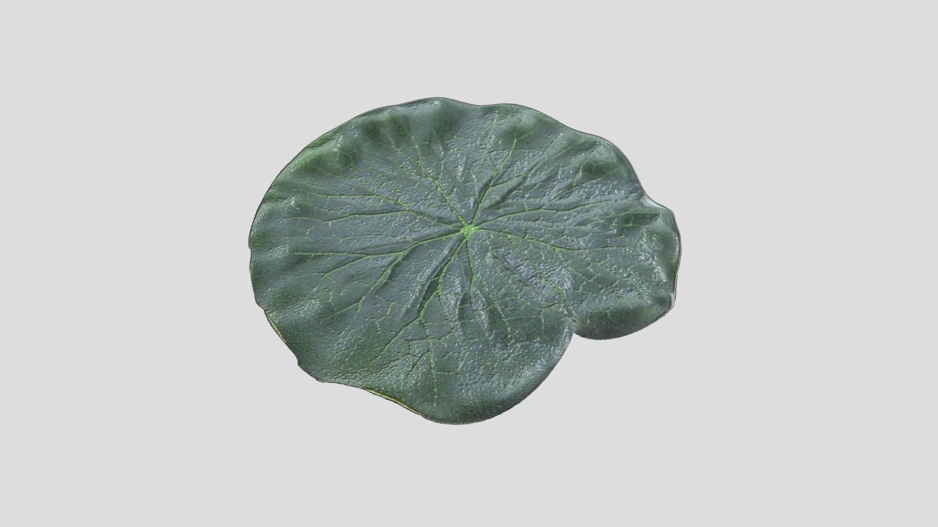 Low Poly Lily Pad - Download Free 3D model by Logan S. (@Logan_S ...