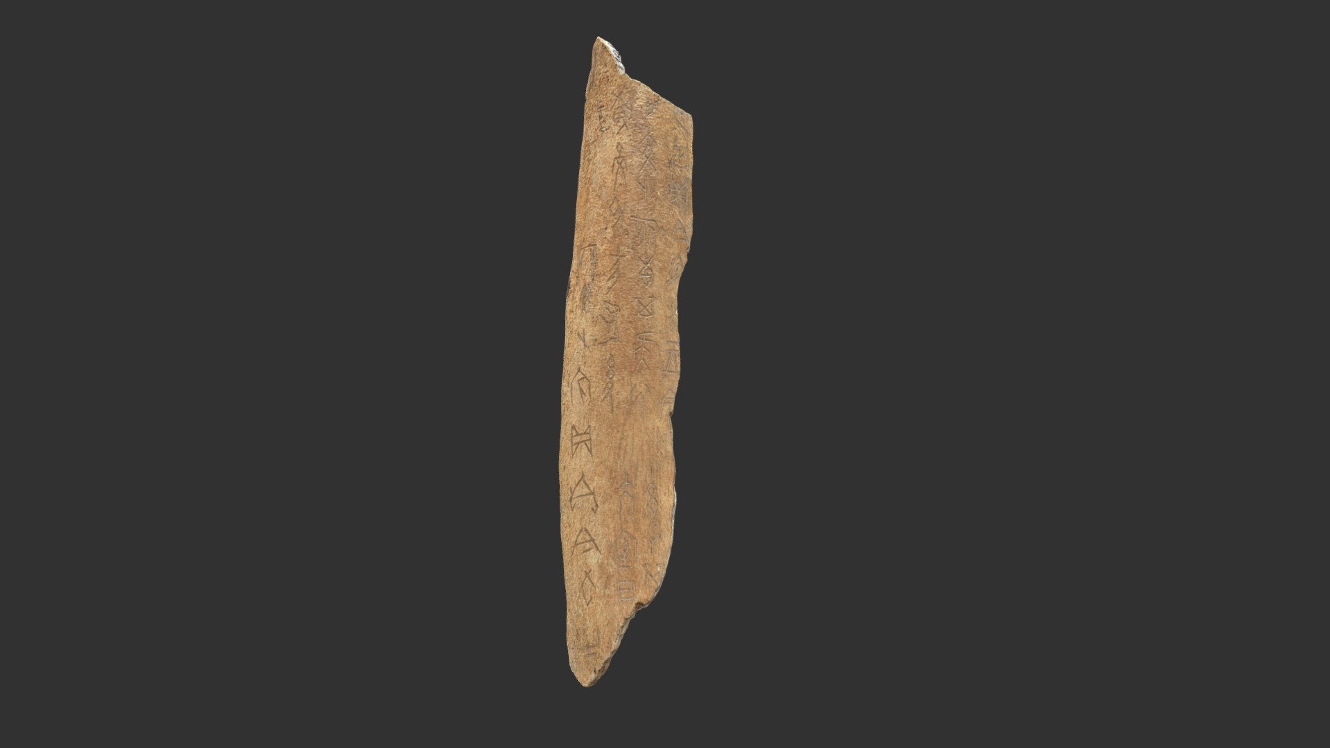 Chinese Oracle Bones, MS-CHI-BONES-CUL-00023 - 3D model by Cambridge ...