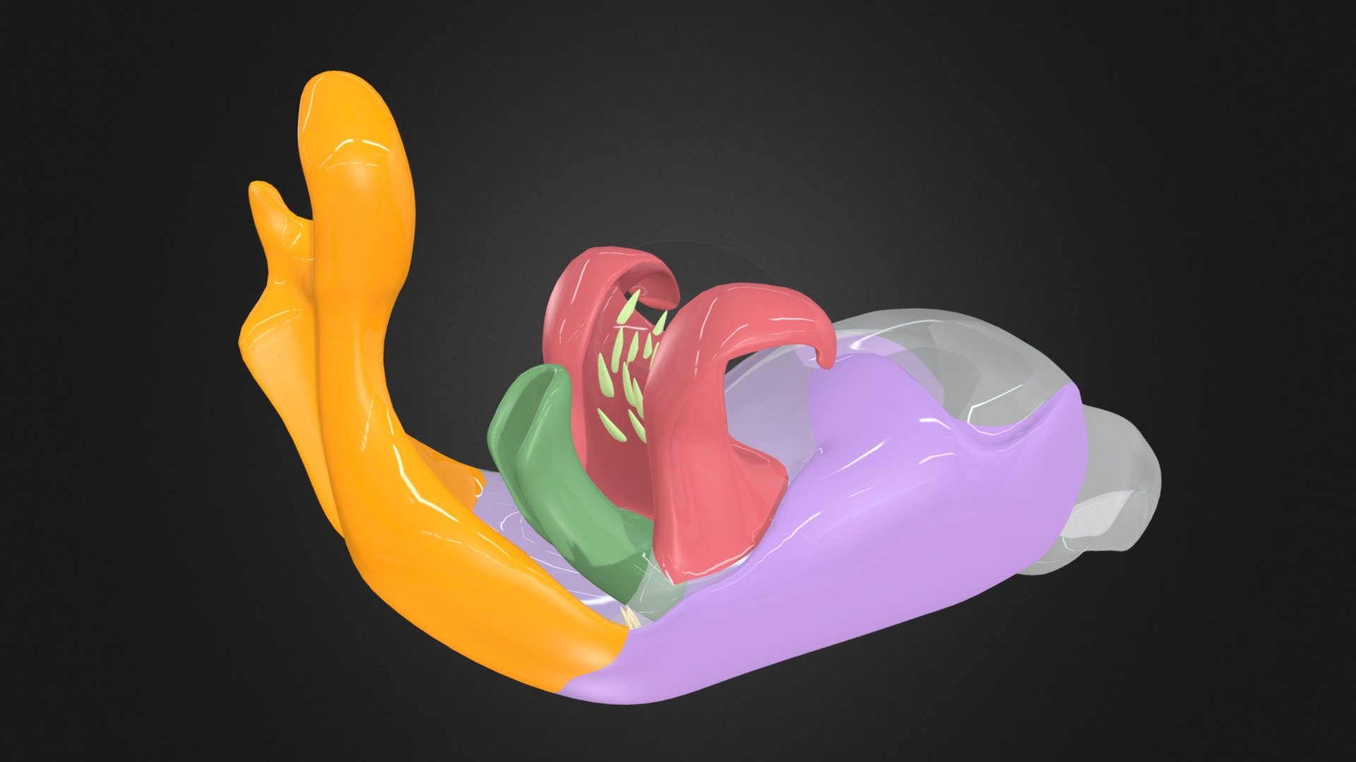 Sepsis Punctum - Phallus - 3D model by Daedalus [85488a7] - Sketchfab