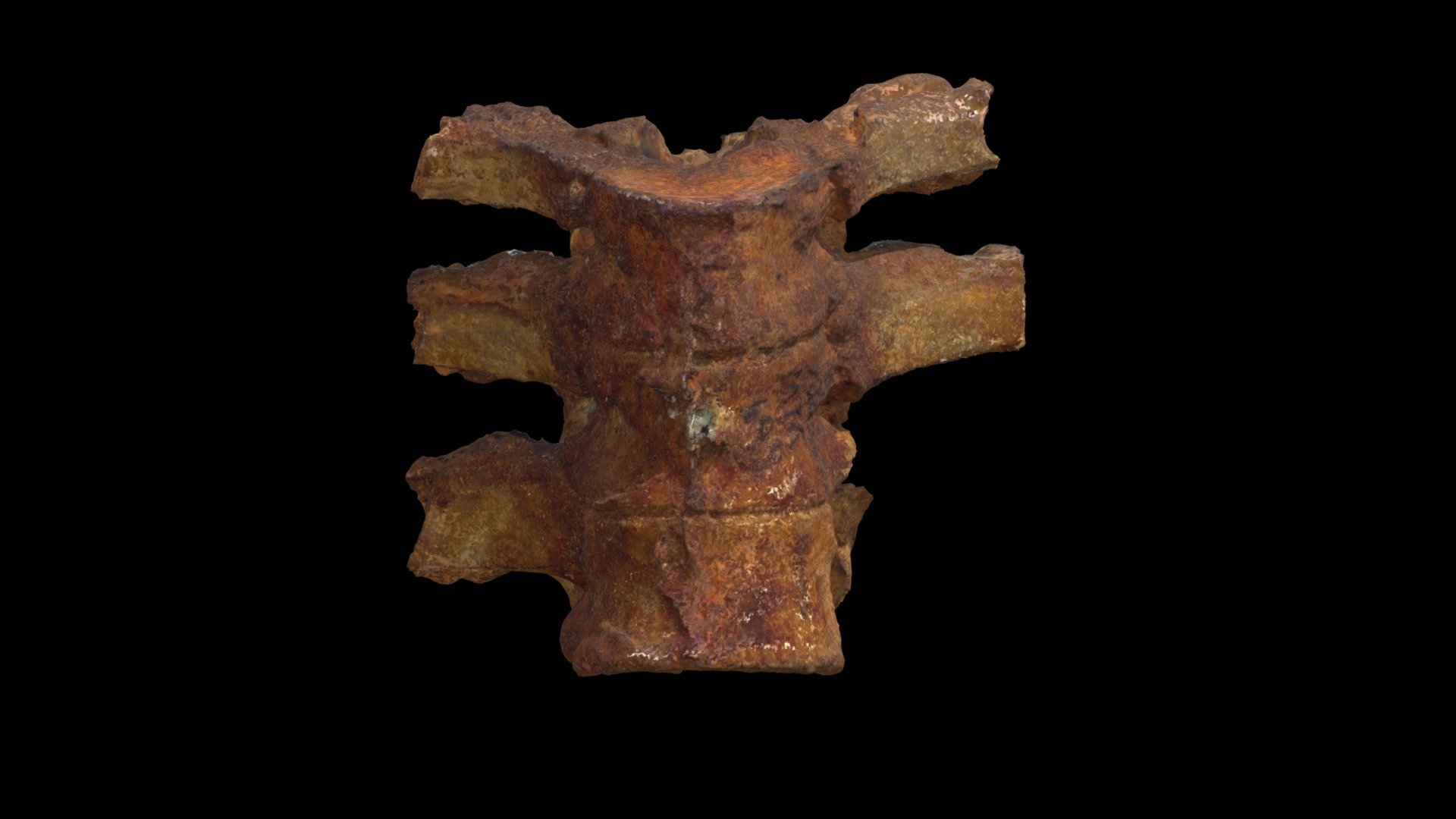 Vertebrae w Bullet (VCU_3D_3185) - 3D model by Virtual Curation Lab ...