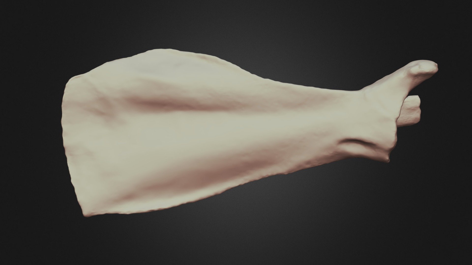 BEAVER SCAPULA4 E-3-7-17 - 3D model by Lakehead Anthropology ...