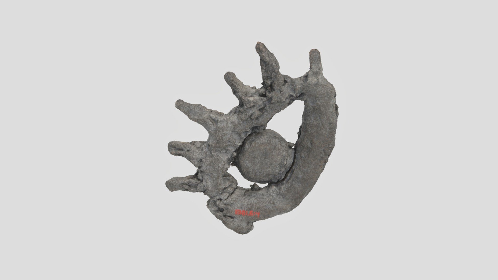 Eye part of "Silmä, korva, suu" collection - 3D model by Aalto Archive ...