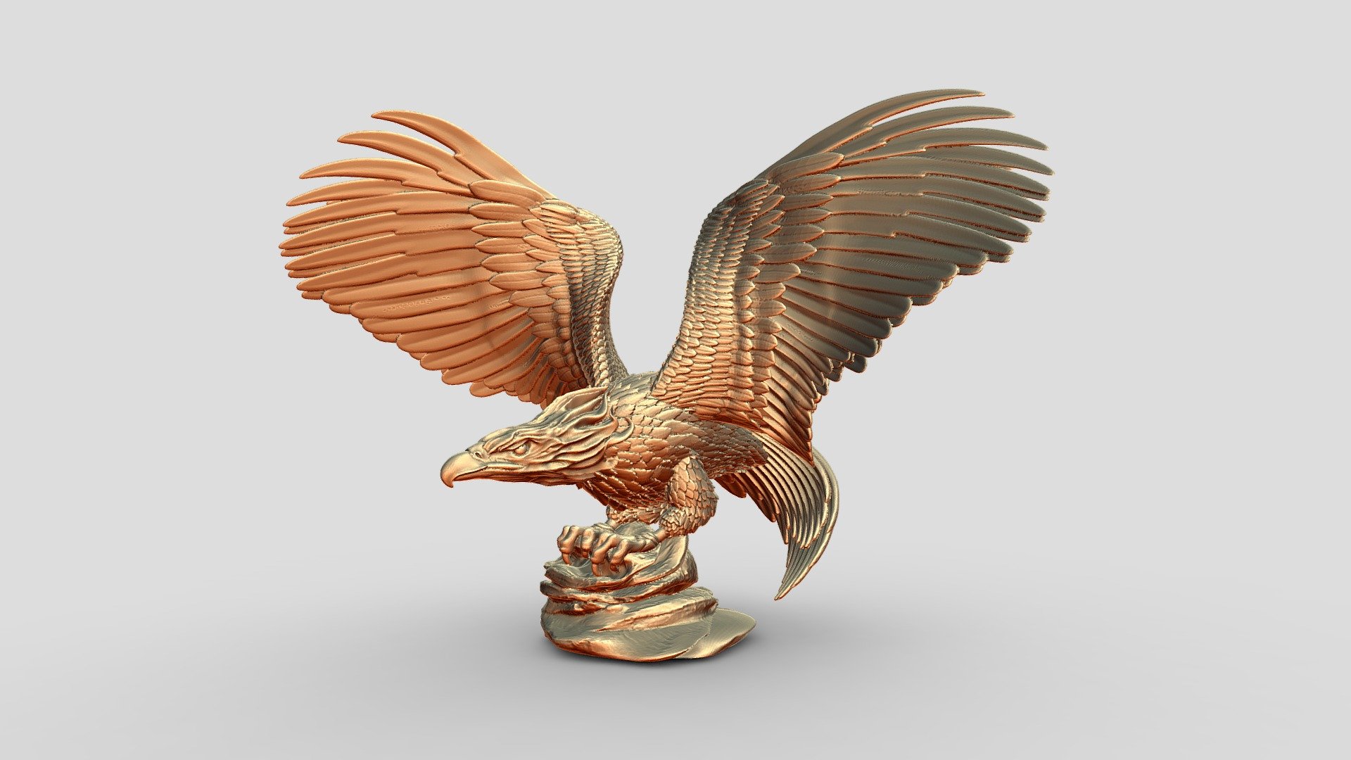 Eagle - 3D model by Diana Liu (@Diana123456) [855f399] - Sketchfab
