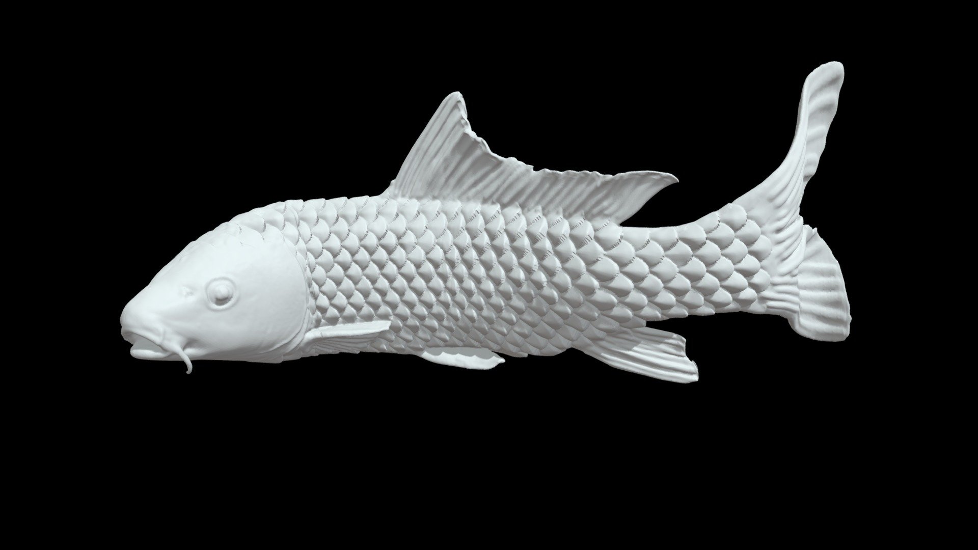Fish1 - Download Free 3D model by Mask (@tavi2516vit1) [856e22a ...