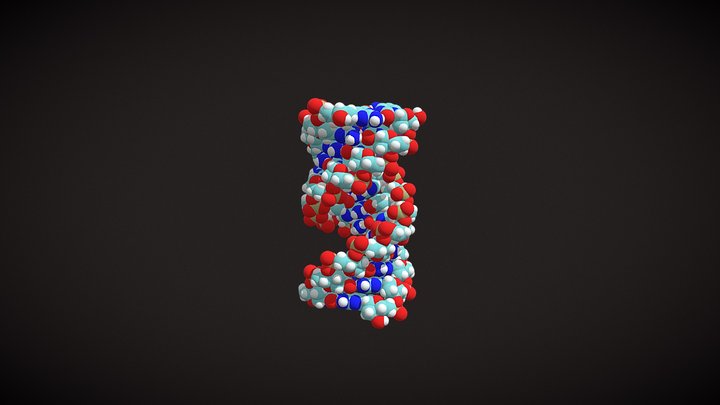 Dna-structure 3D models - Sketchfab