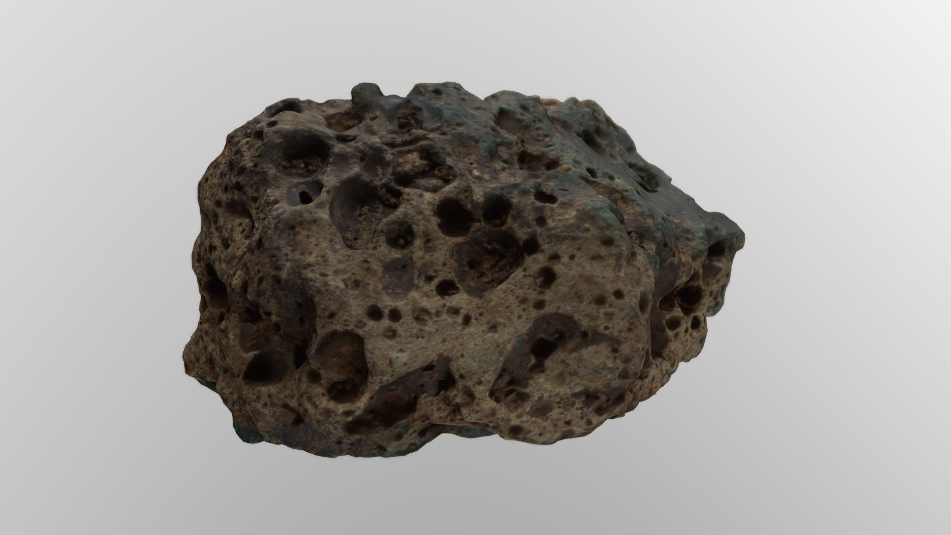 Coral stone - Download Free 3D model by Convex CGI (@convexcgi ...