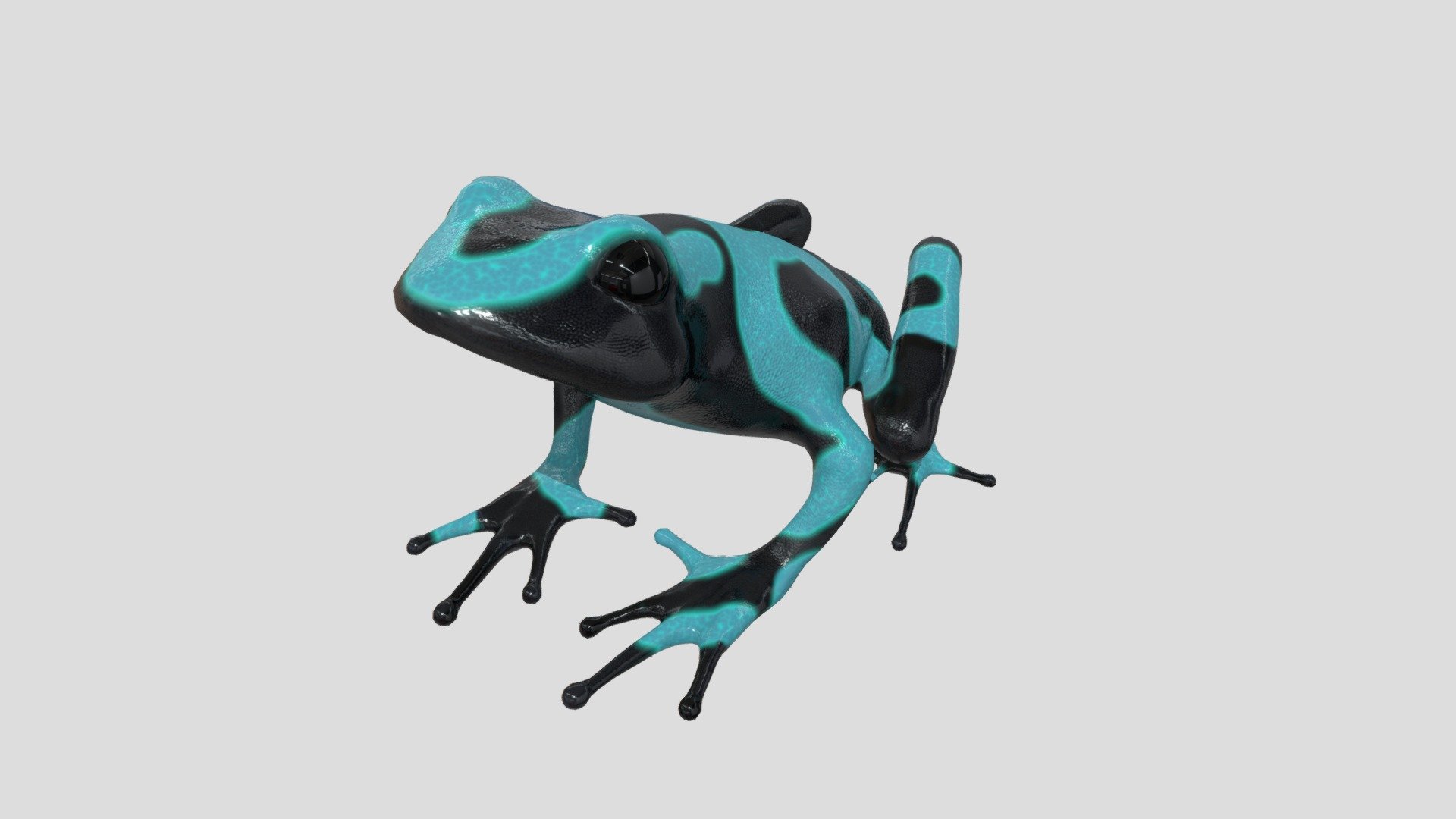 dart frog - Download Free 3D model by nastik (@nastik.) [8577553 ...