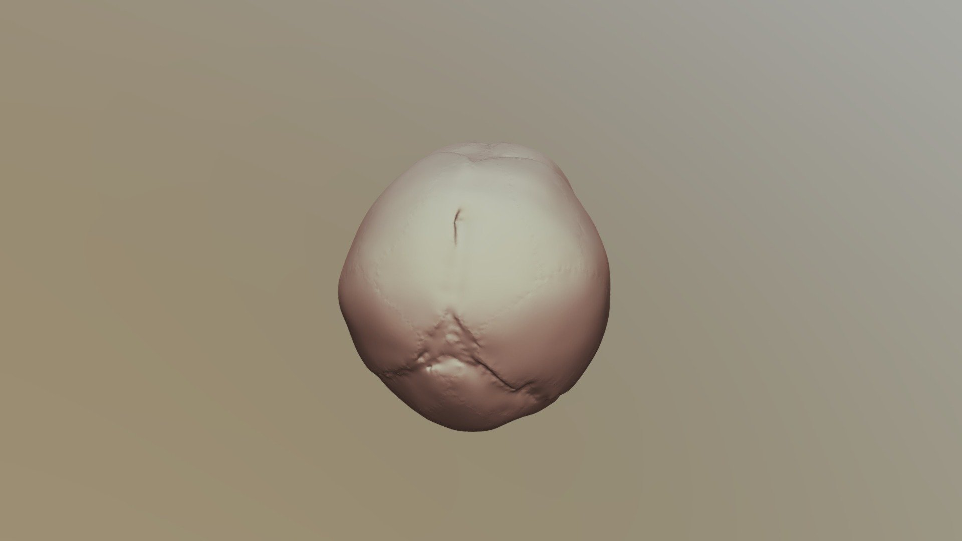 Human Fetal Skull - 3D model by OU Libraries (@libedge) [857978a ...