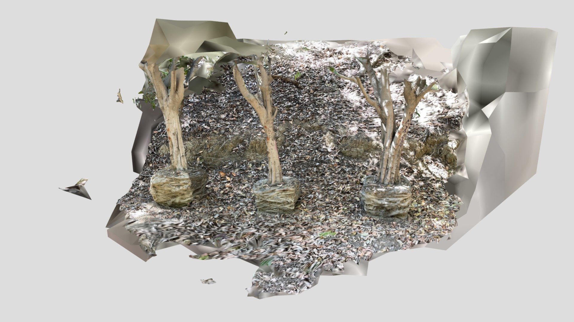 Box Tree Trio - Download Free 3D model by garagestudios [859a519 ...