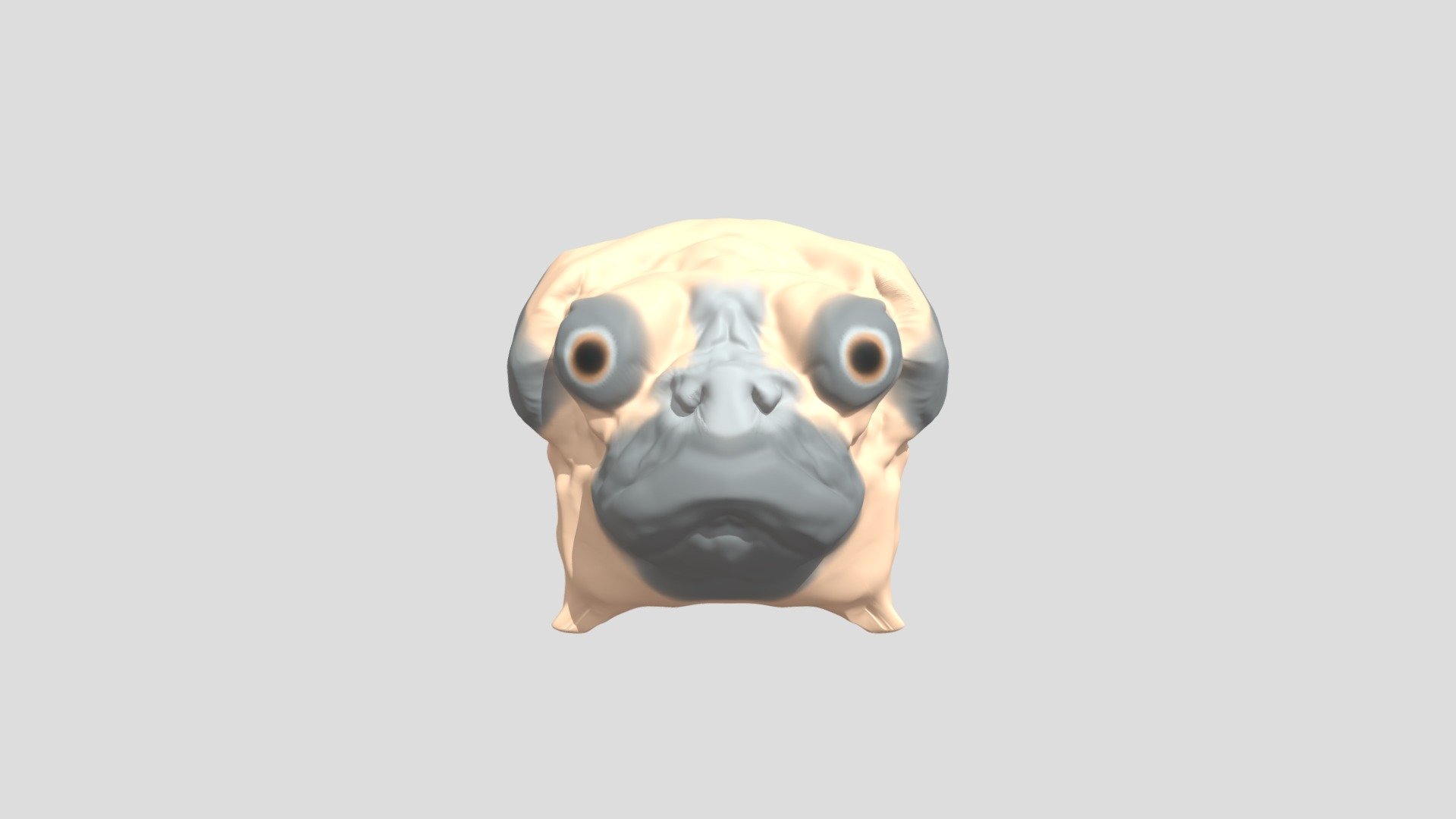 Pug - Download Free 3D model by Beck Van Gorden (@Beck_Van_Gorden ...