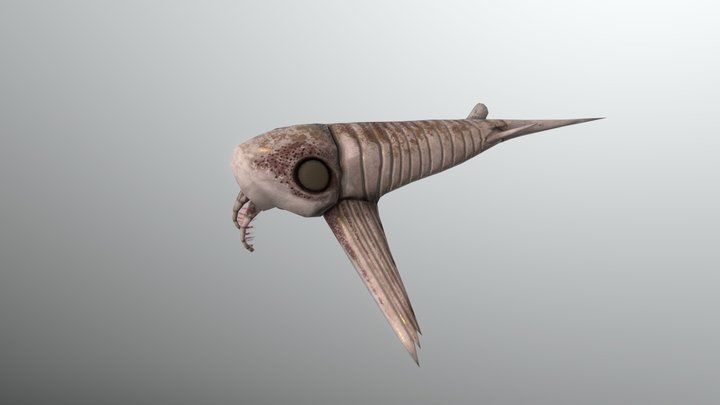 Radiodont 3D models - Sketchfab