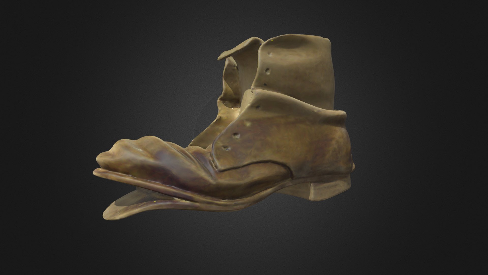 Godasse - 3D model by pattarrian [85a210c] - Sketchfab