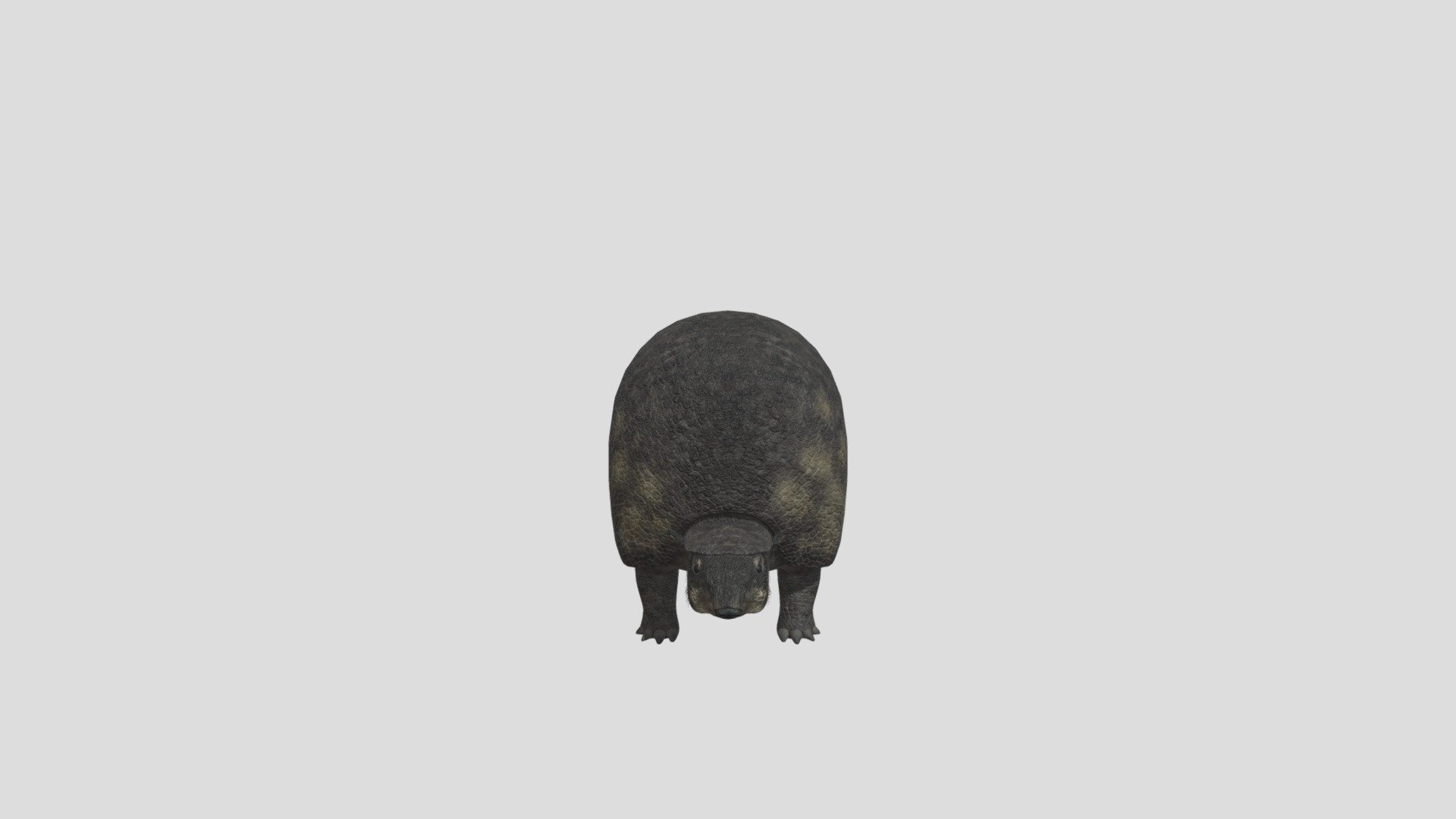 Dinoraul's Doedicurus - Download Free 3D model by Sammy the Citipati ...