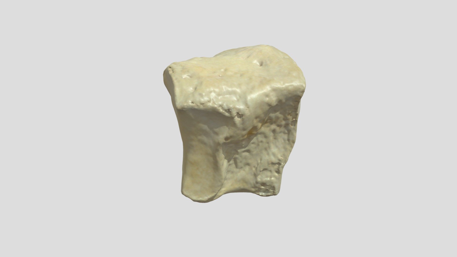 Os Cuneiforme Intermedium R - 3D model by AnatomyUgent (@emaudena ...