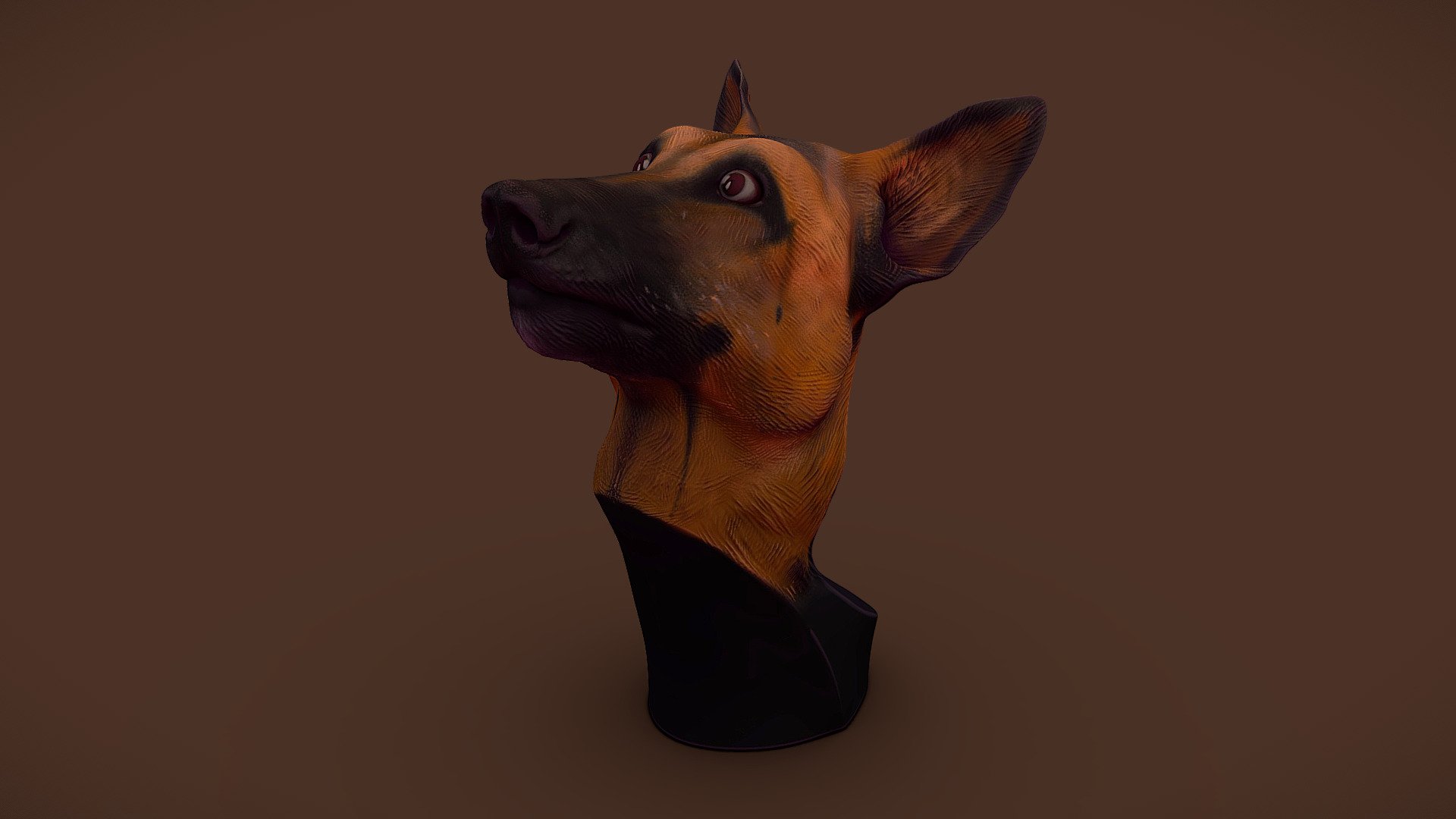 Belgian Malinois - 3D model by JDGuio [85aa1f3] - Sketchfab