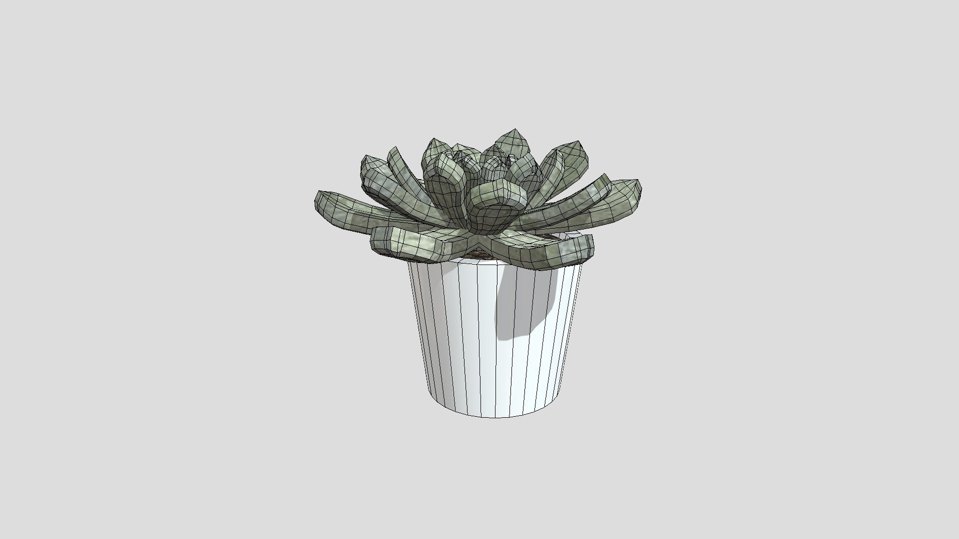succulent plant - 3D model by connor116 [85b0149] - Sketchfab