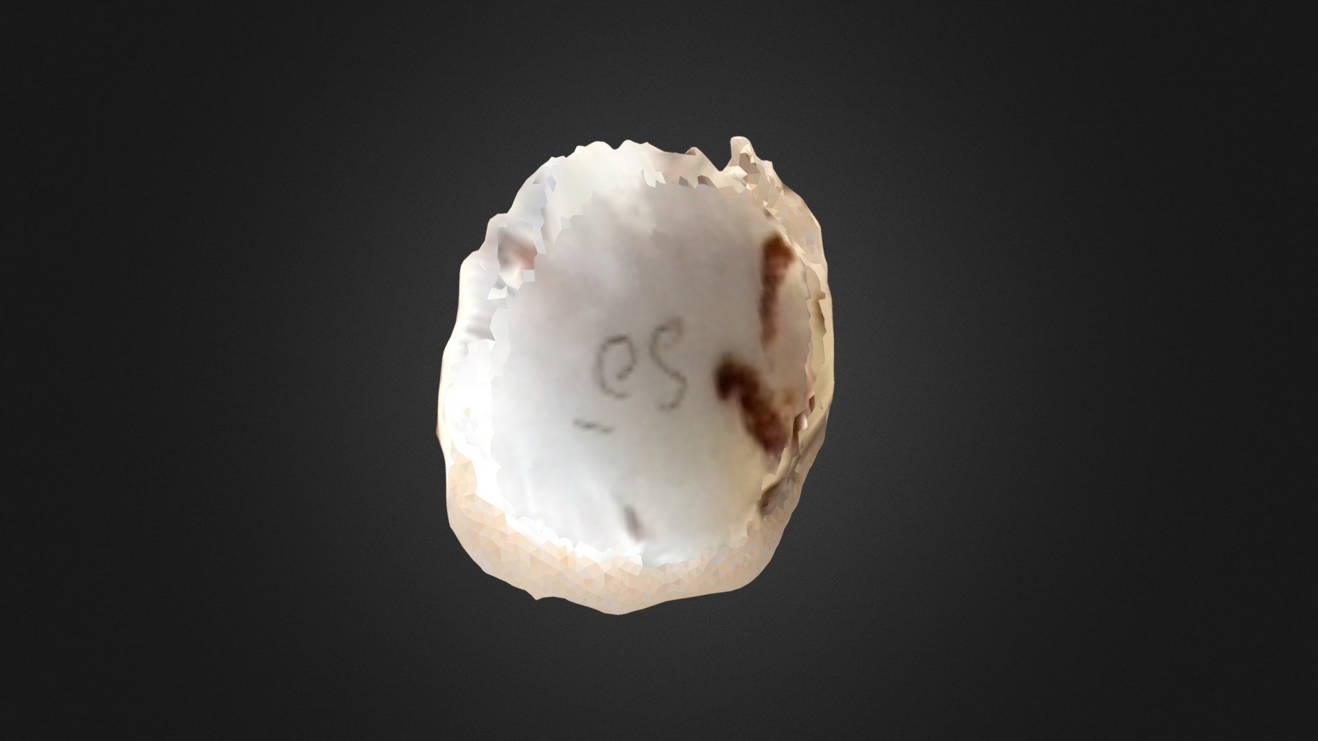 Timoclea ovata (Pennant, 1777) - 3D model by 3D collection ...