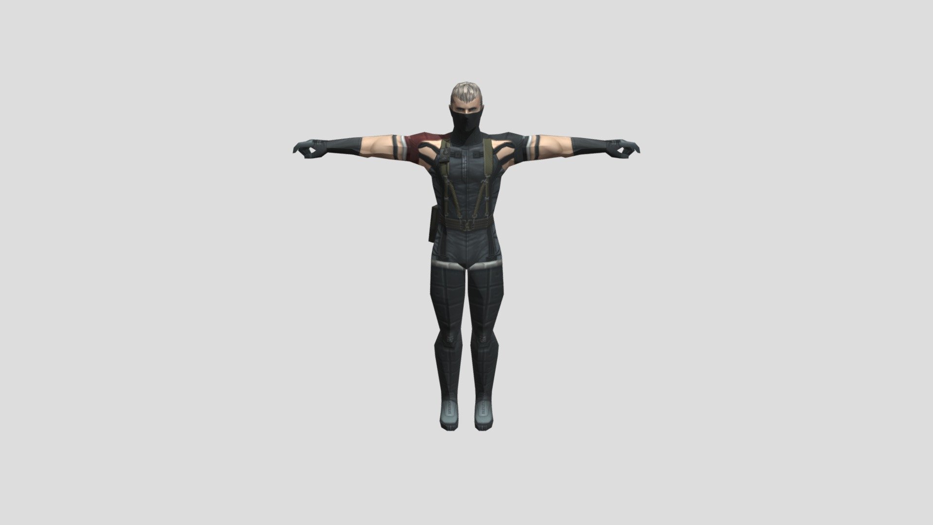 Gray Fox - Download Free 3D model by bobberxd [85b6339] - Sketchfab