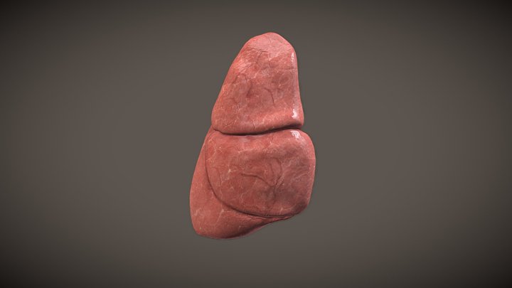 Informative 3D models - Sketchfab