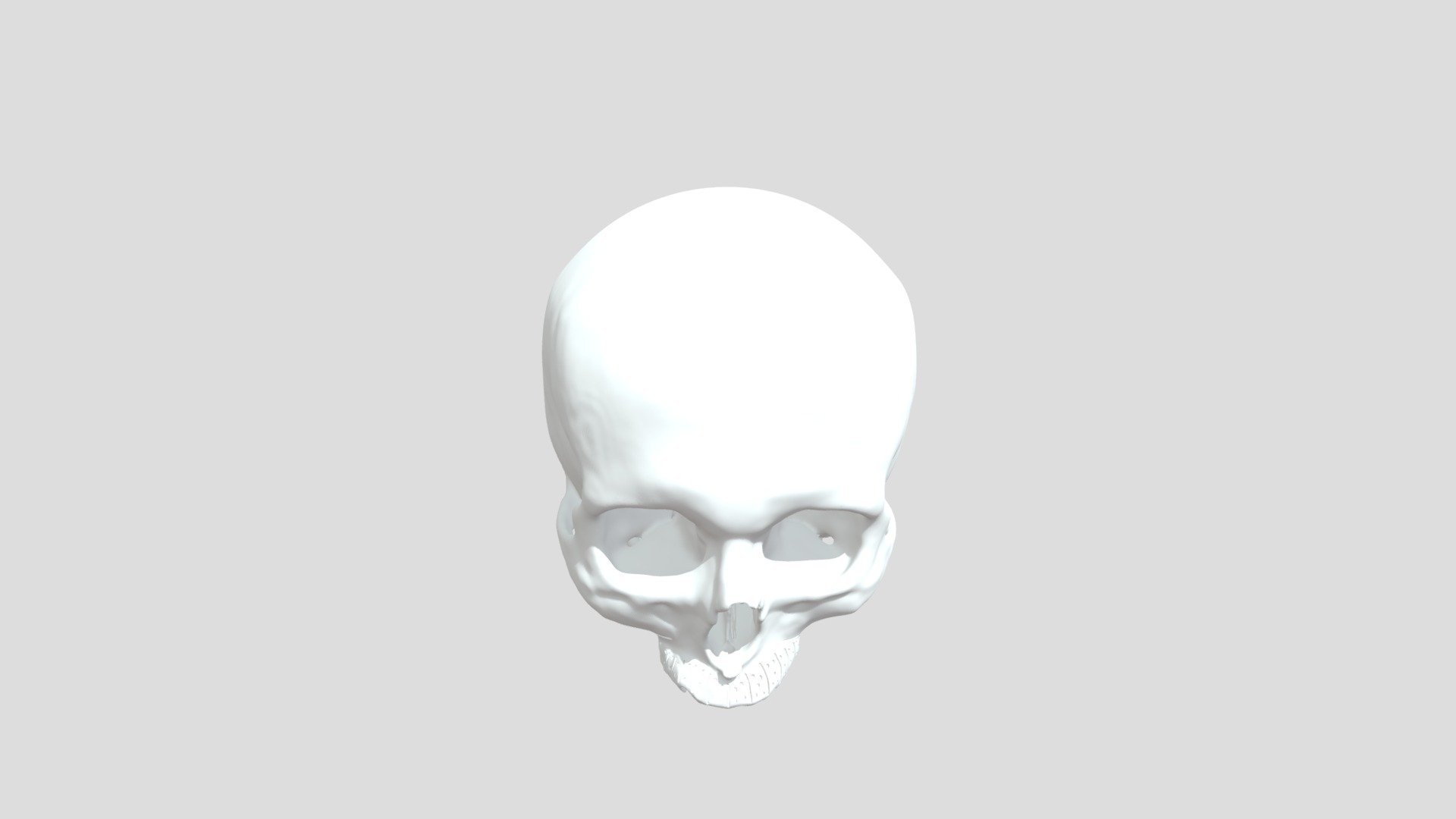 Skull - Download Free 3D model by MZ (@mzma) [85bba3b] - Sketchfab