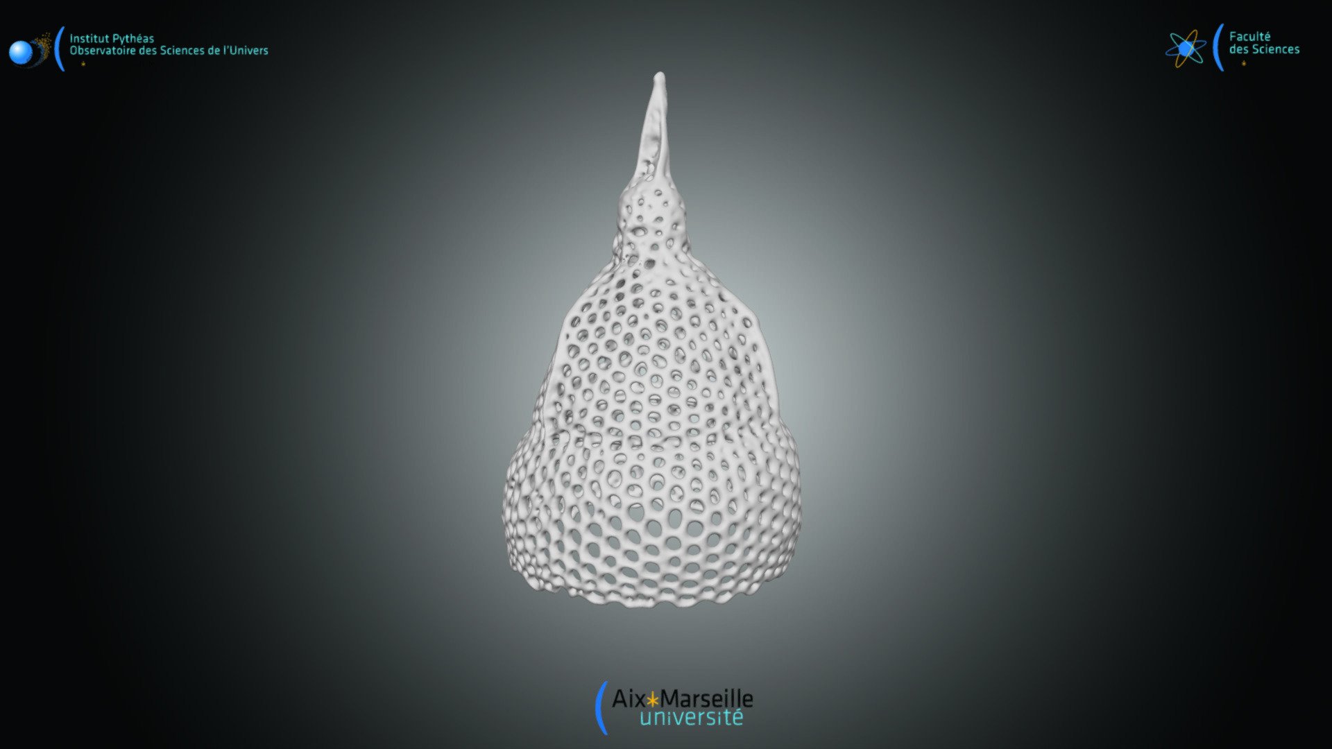 Radiolaire - Pterocorys spp. - 3D model by Secteur Sciences et ...
