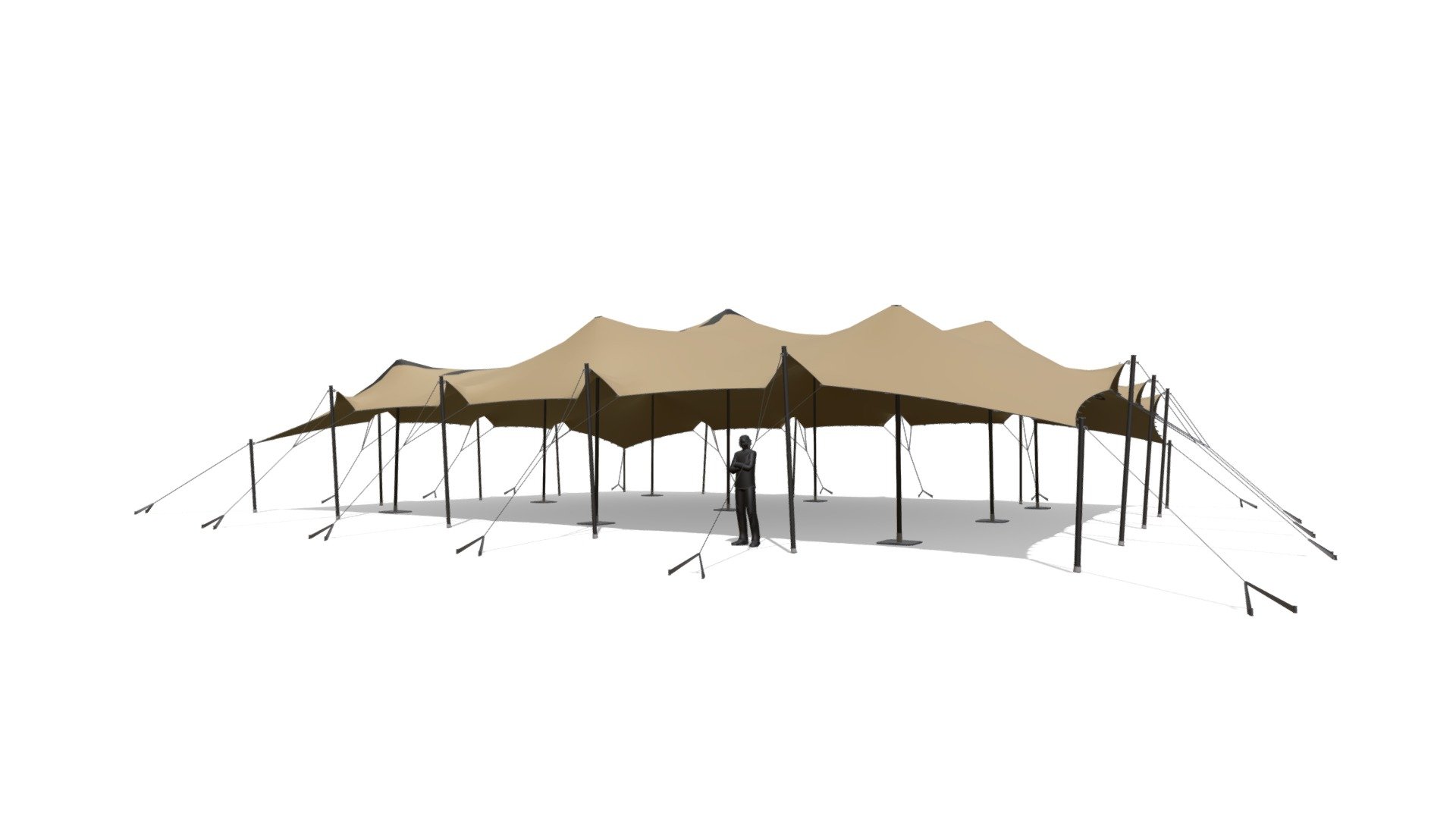 20m x 15m - Rigging Model - 3D model by FREEFORM® STRETCH TENTS ...