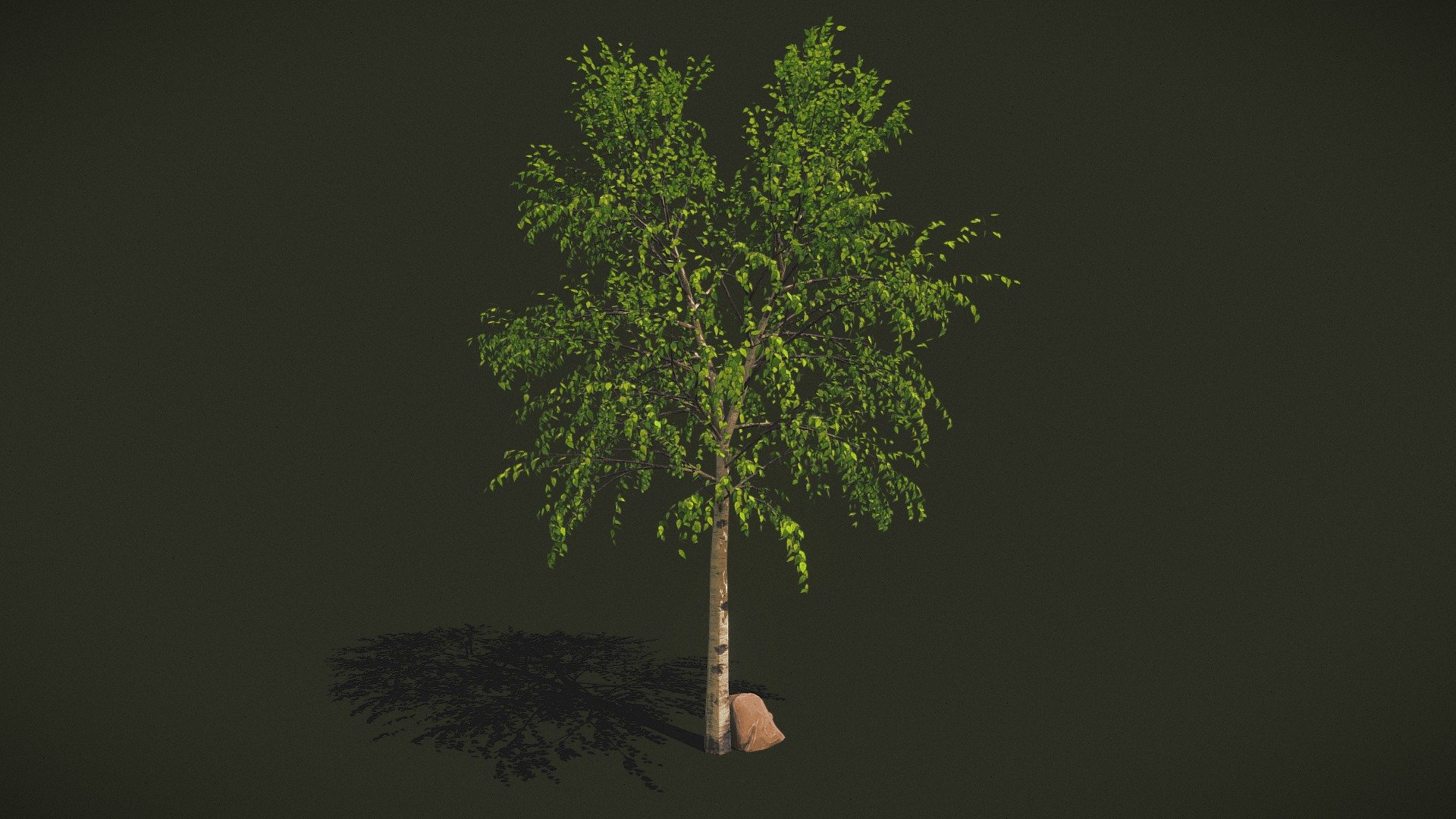 Firewatch Birch - Download Free 3D model by Nokken [85c7717] - Sketchfab