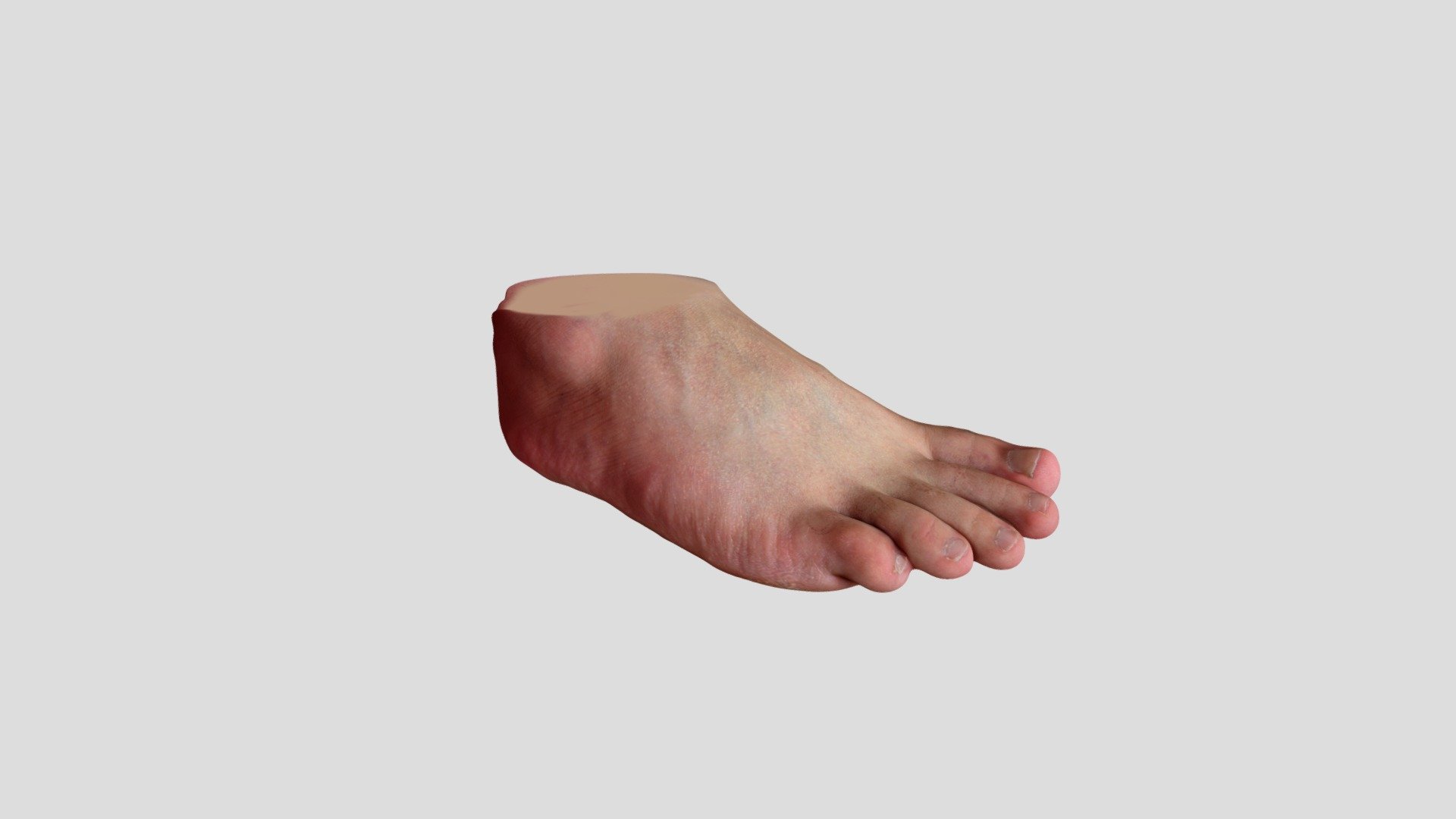 Foot - Download Free 3D model by morningaiseeker [85c79af] - Sketchfab