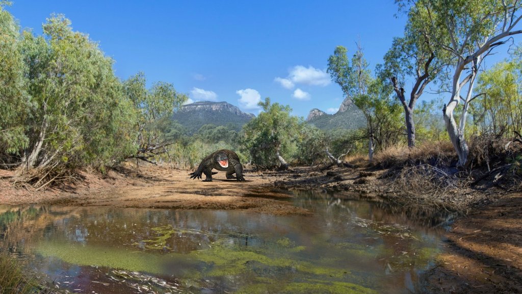 Megalania the giant goanna - A 3D model collection by Queensland Museum ...