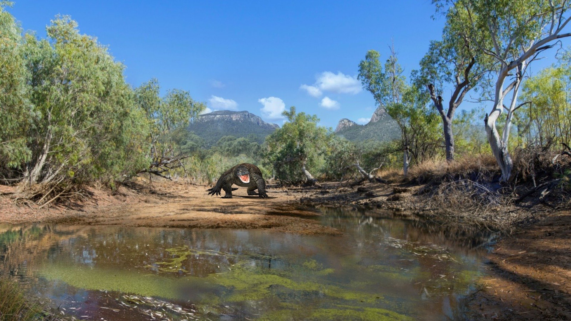 Megalania Lizard In Australia