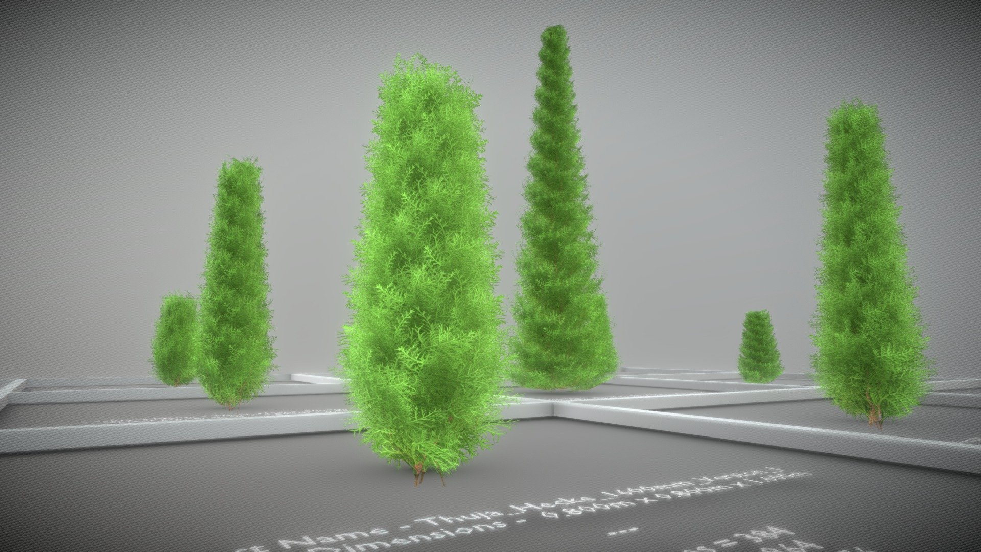 Low-Poly Thuja Cupressaceae 19 Plants - Buy Royalty Free 3D model by ...
