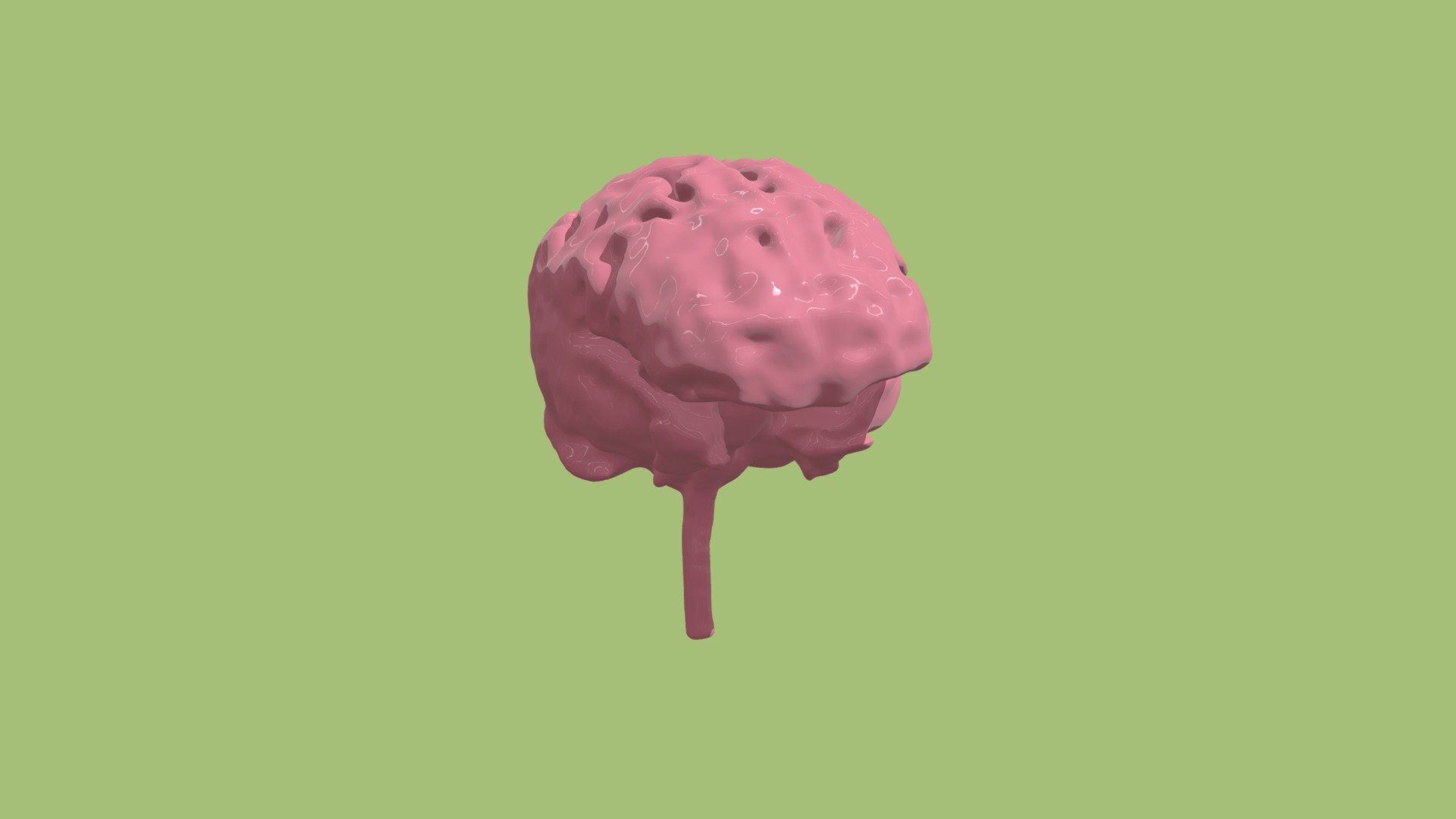 Segmentation Brain 3d Model By Jamilaa [85df77c] Sketchfab