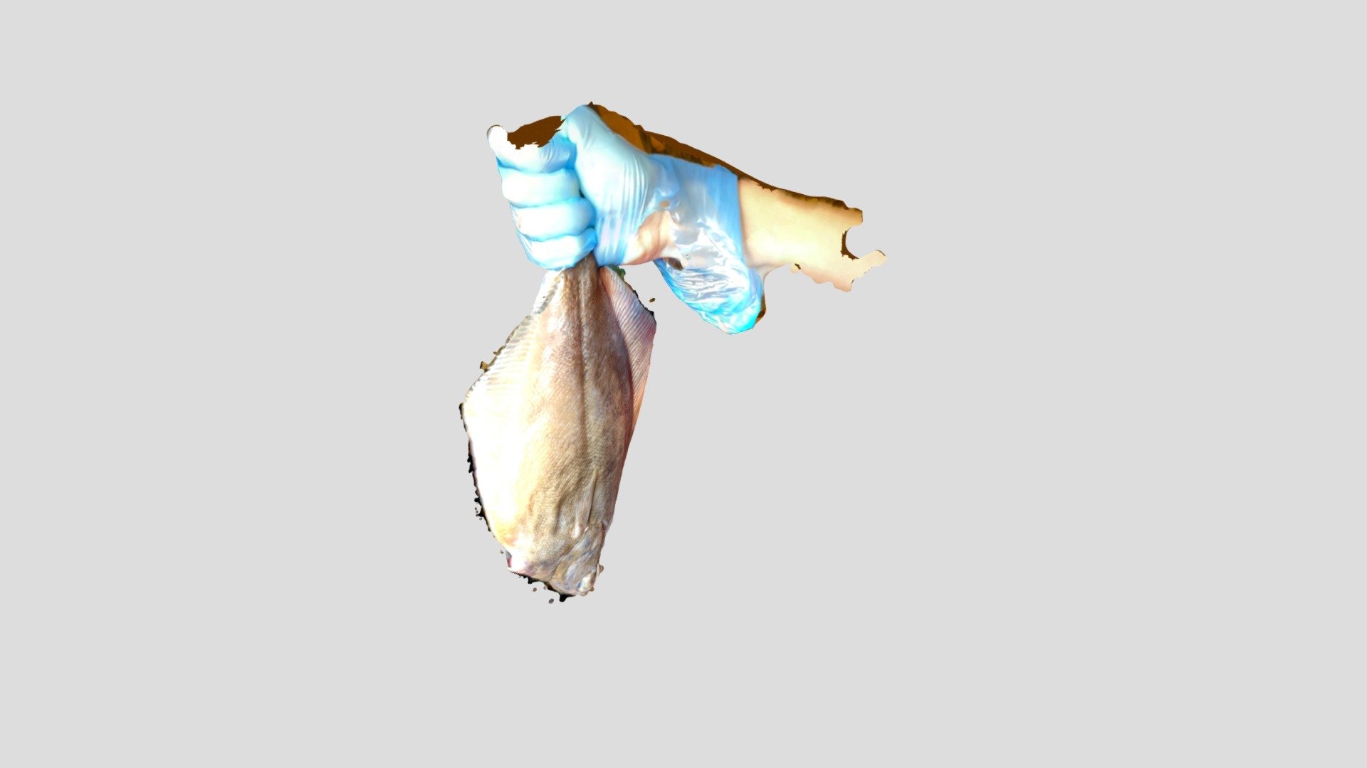 karei - 3D model by VR∞M -ブルーム- (@YeahNobori) [85e596a] - Sketchfab