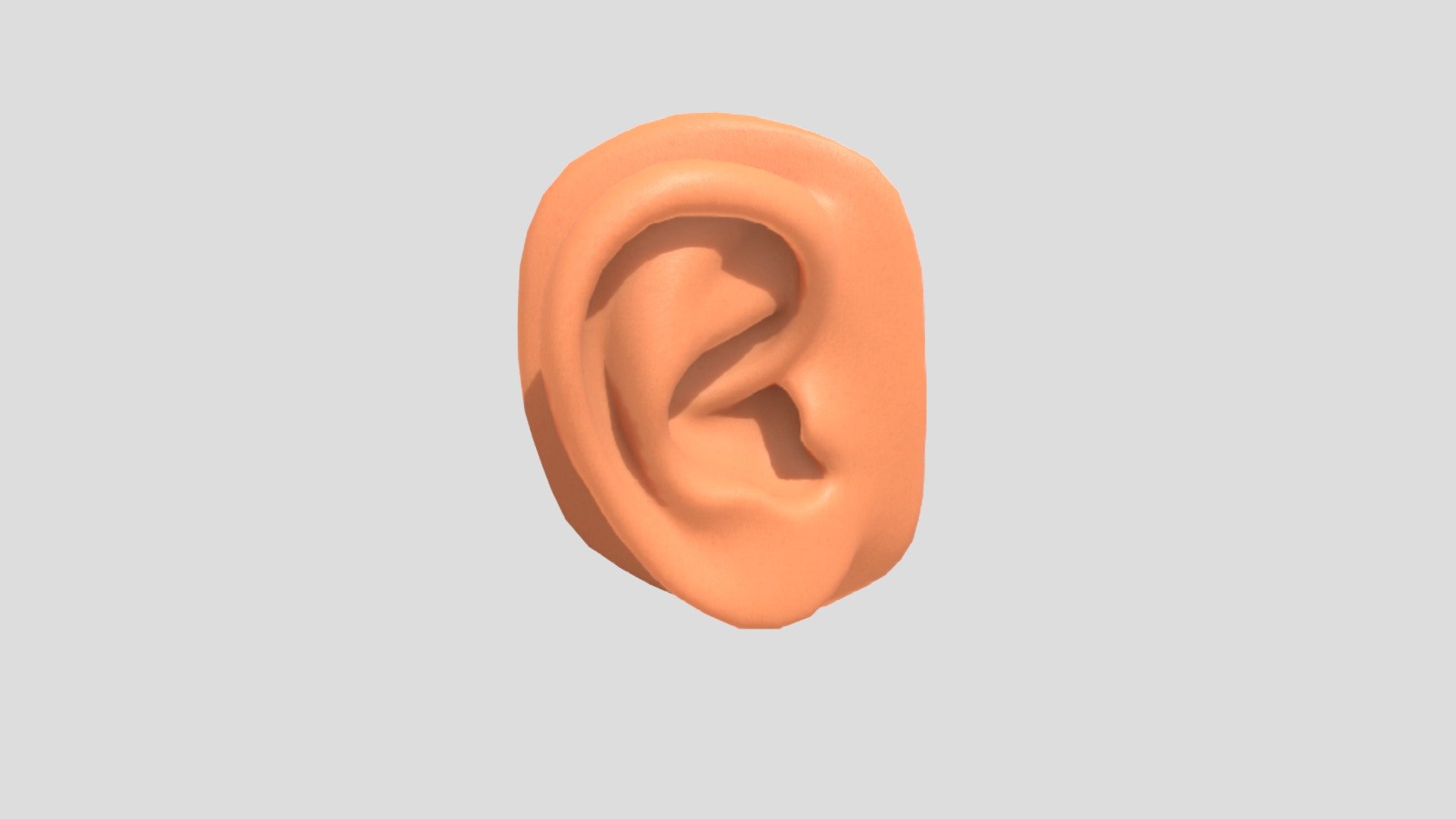 Ear 3d model Svyat - Download Free 3D model by Svyat [85e5985] - Sketchfab