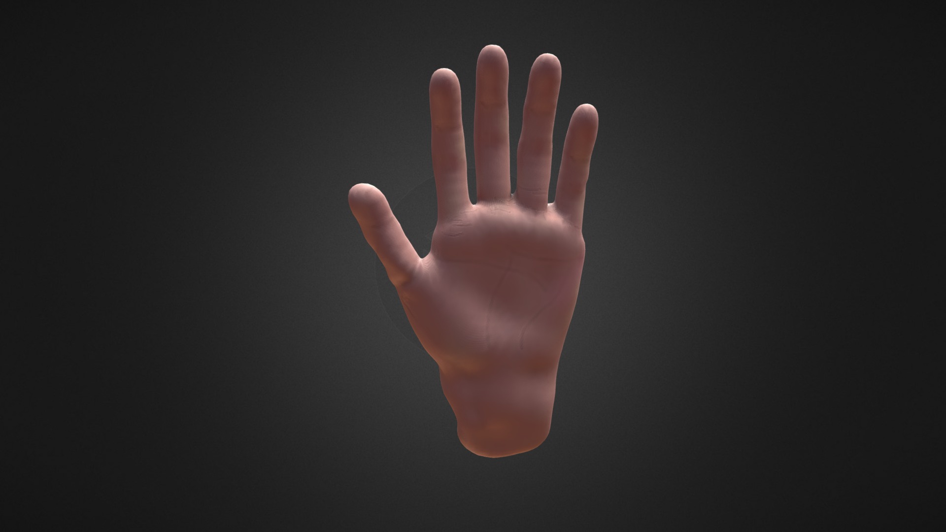 Hand - 3D model by ndotson904 [85f3a51] - Sketchfab