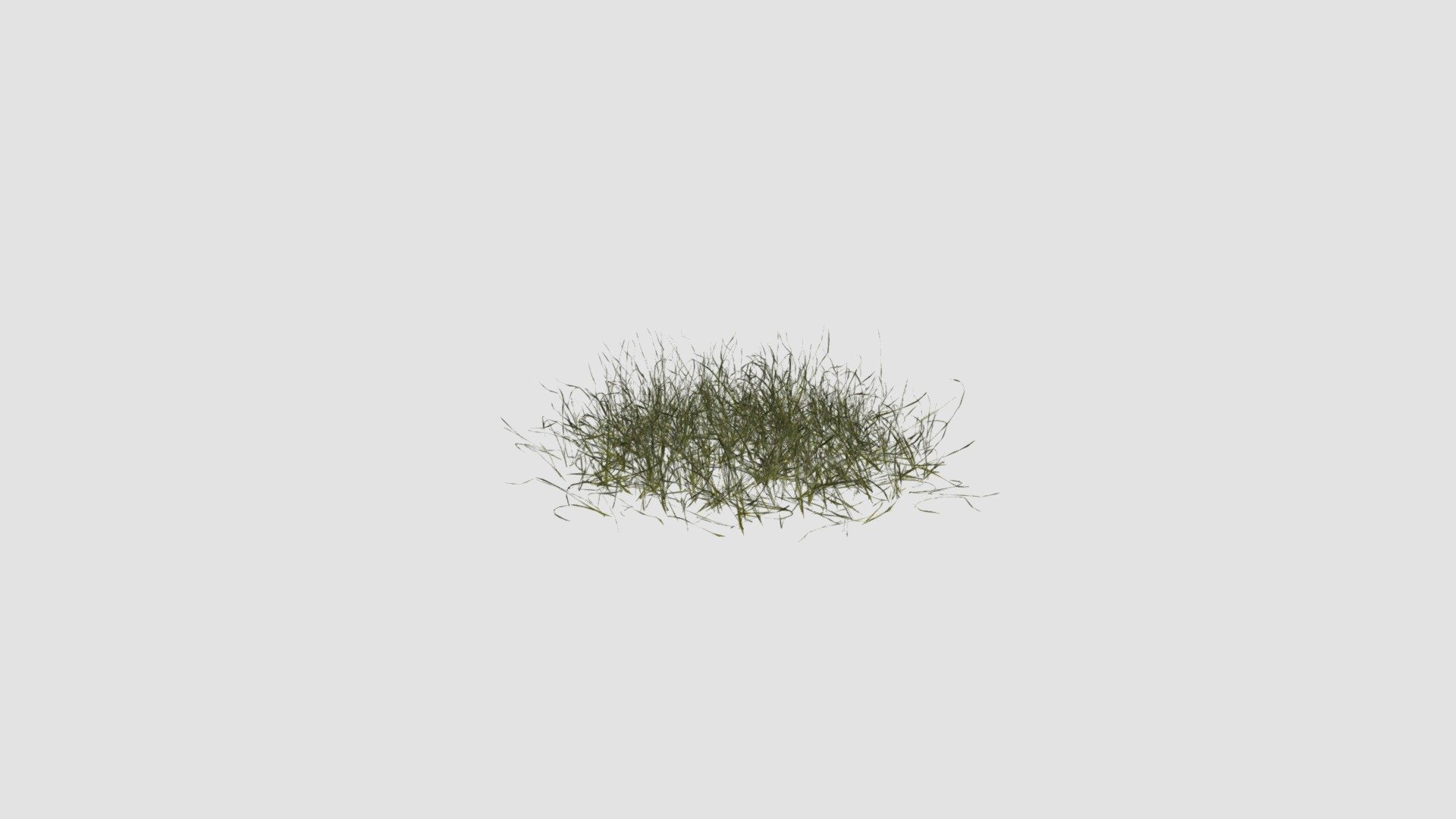 simple grass - Buy Royalty Free 3D model by Evermotion [85fbe0f ...
